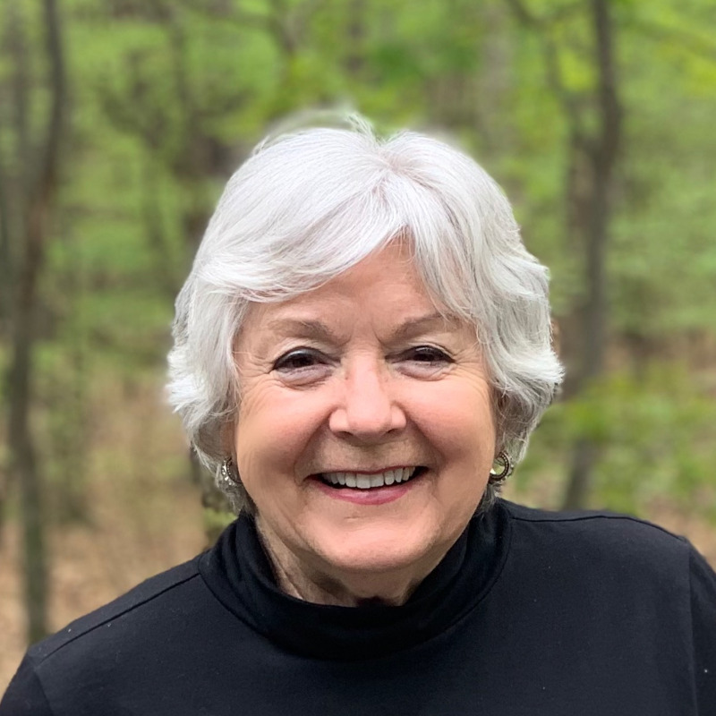 May 2021: Jane Raymond - Vickers Theatre